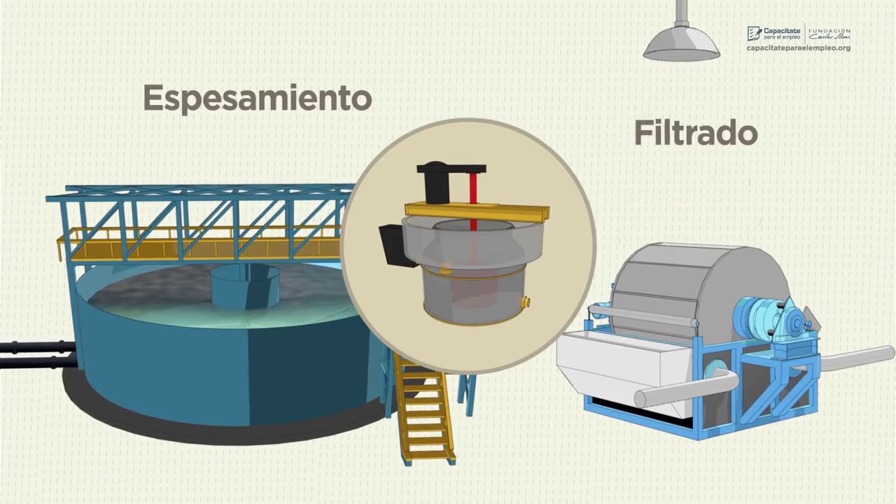 Las Fases Del Proceso De Lixiviación Dinámica Nivel 3 Lección 4 2