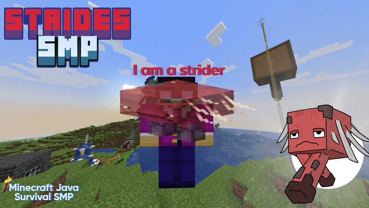 I Am A Strider First Time On The Stridessmp Youtube