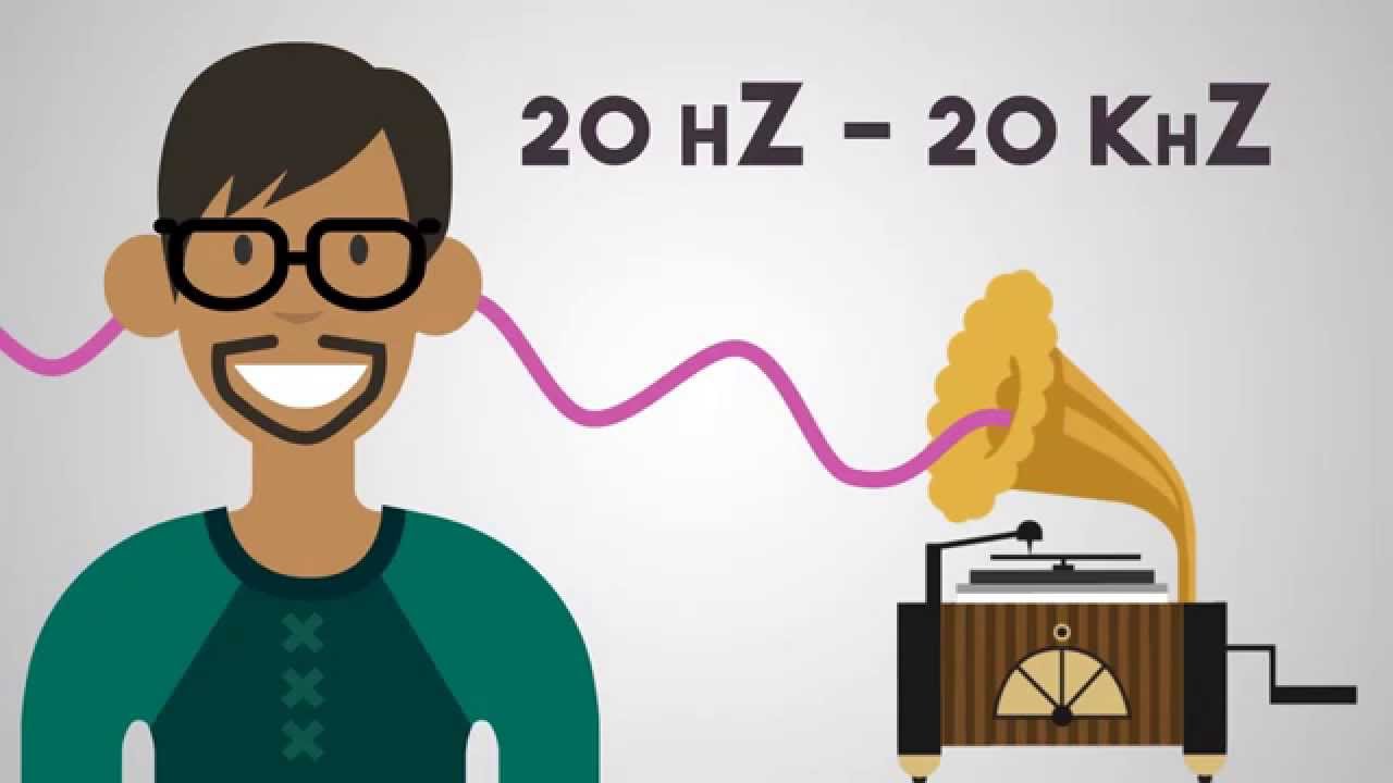 Physics Sound Waves Youtube