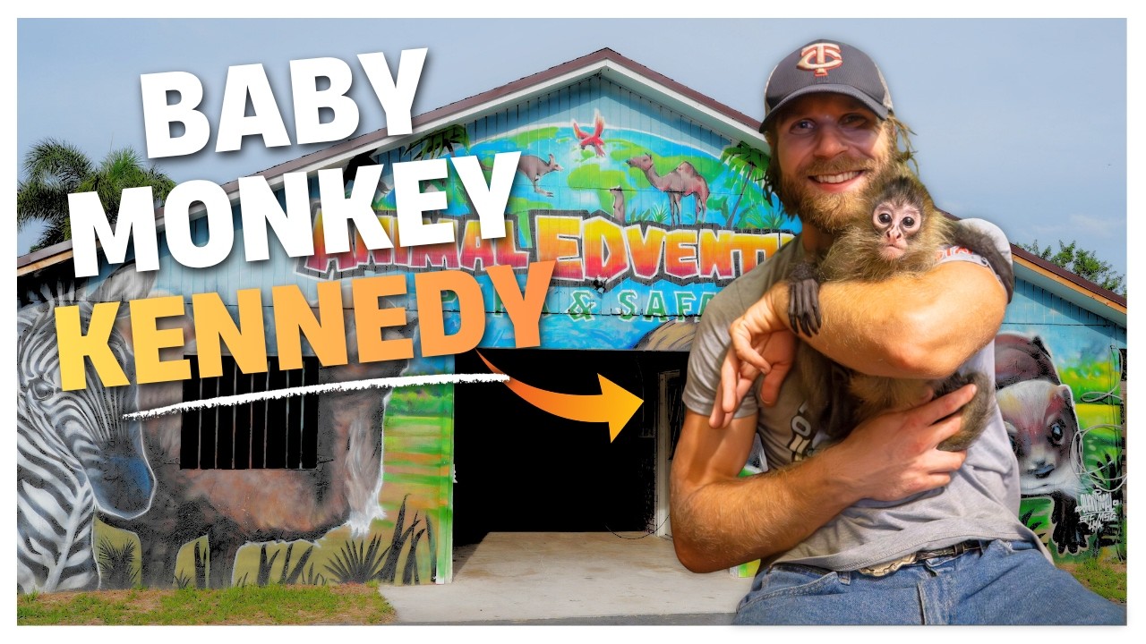 This Baby Spider Monkey Has Everyone Obsessed ёяшн Youtube