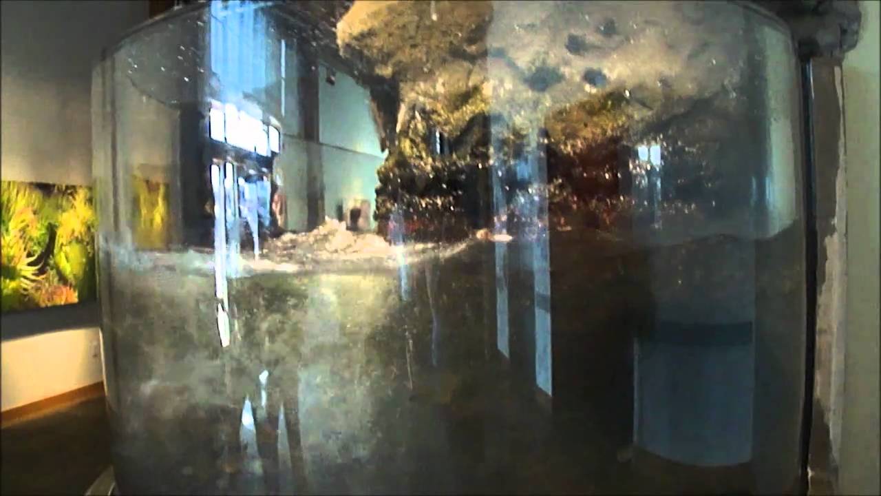 Wave Simulator Youtube