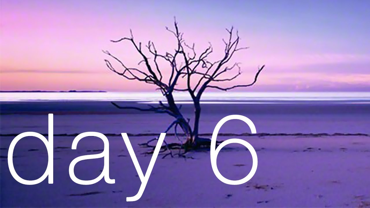 Day 6 Youtube