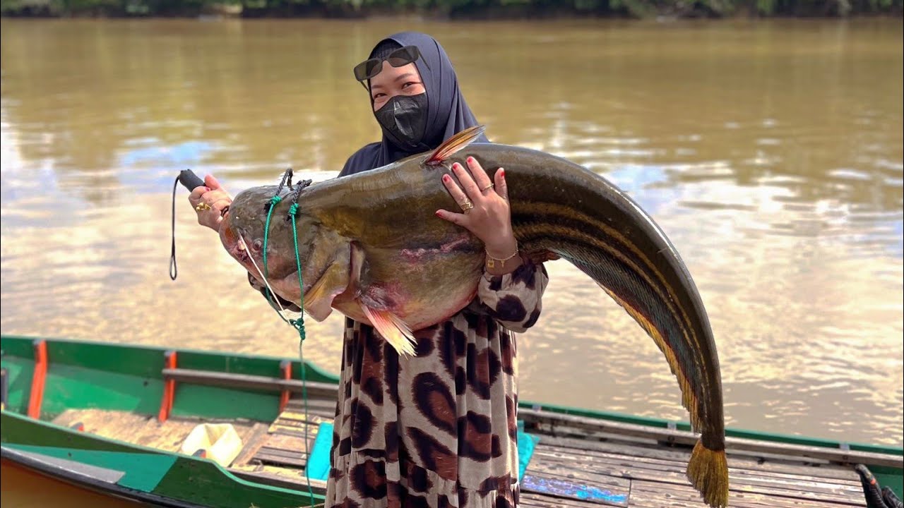 Monster Sungai Mentaya Hulu Youtube