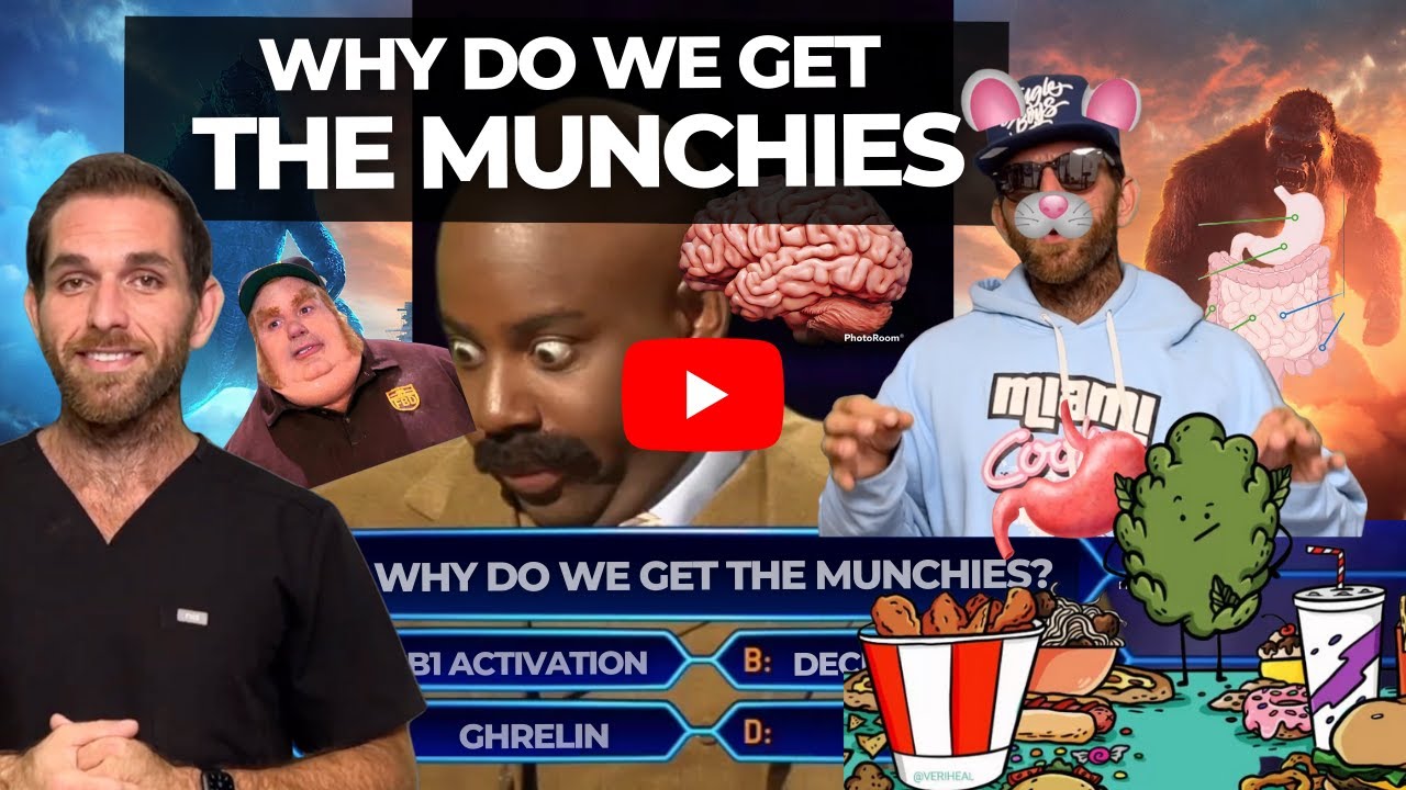 Why Do We Get The Munchies Youtube