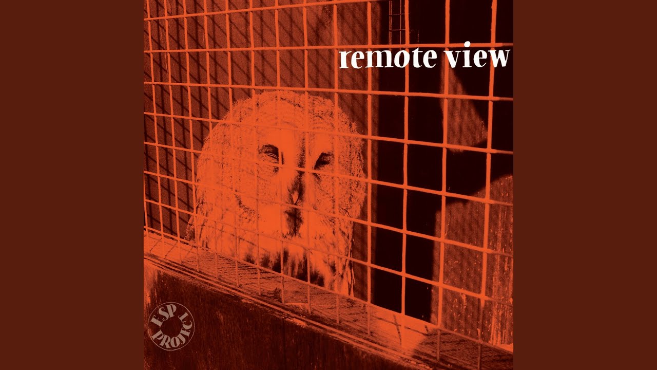 Remote View Youtube