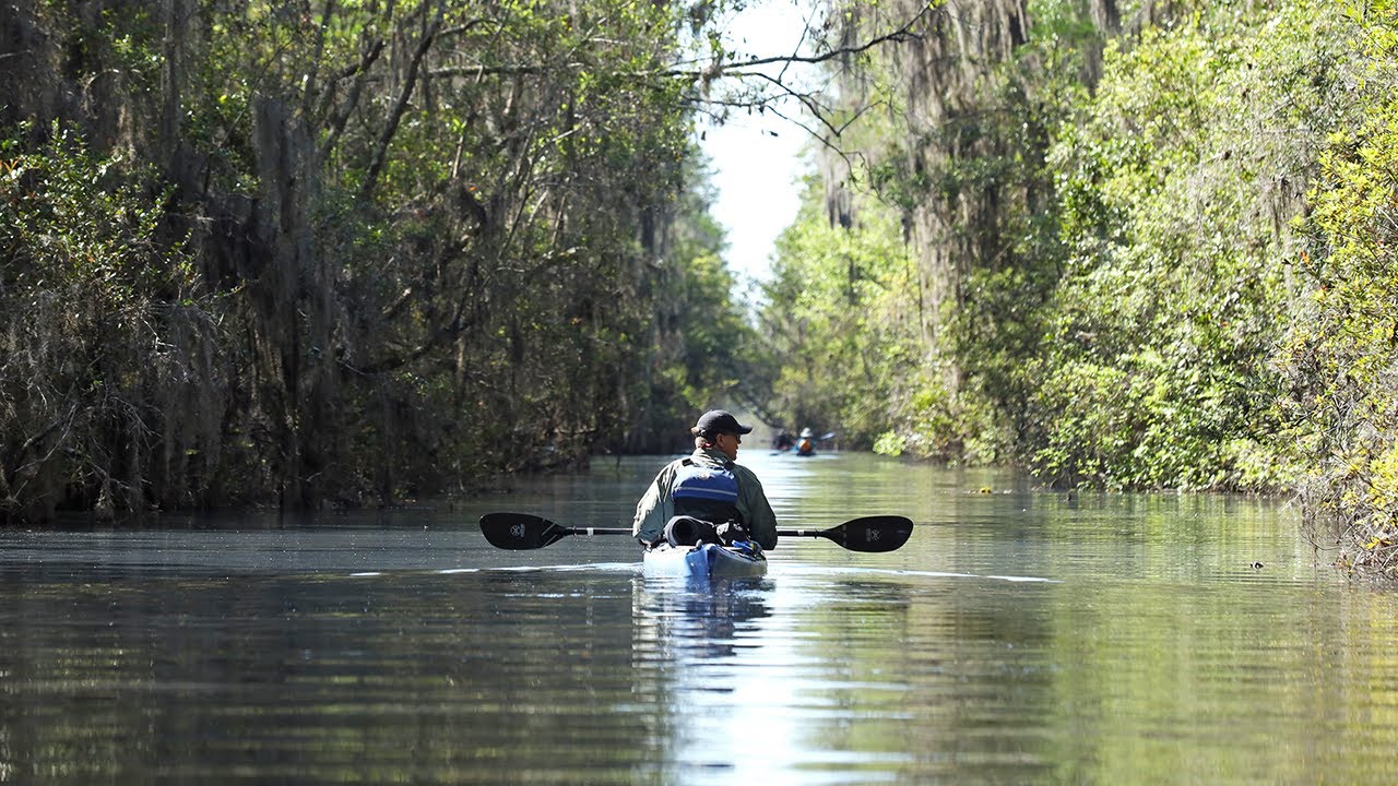 Travel Vlog Exploring The Okefenokee Swamp Day 2 Youtube