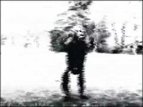Clip095 Mp4 Youtube