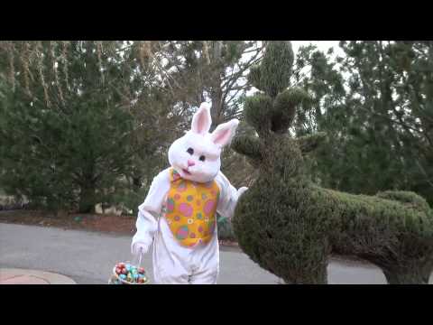 Easter Bunny Youtube