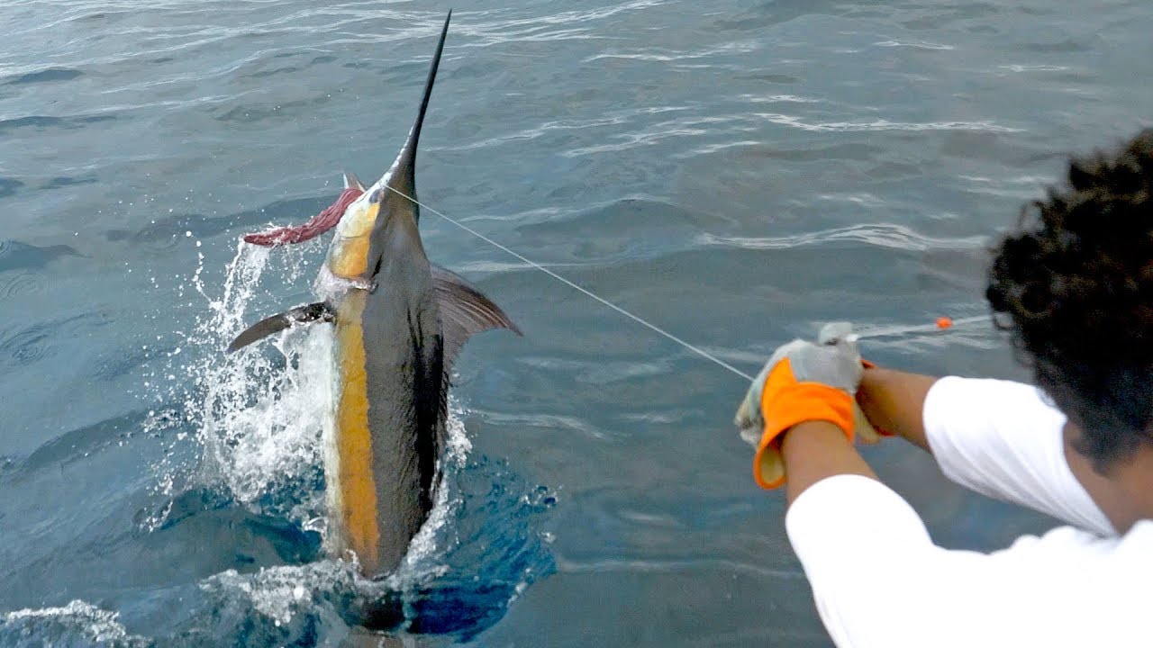 Epic Blue Marlin Fishing In Costa Rica Youtube
