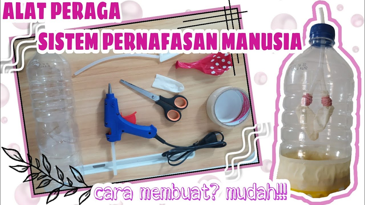 Cara Membuat Alat Peraga Sistem Pernapasan Manusia – Jethro Jeff Cara Membuat Alat Peraga Sistem Pernapasan Manusia – Jethro Jeff