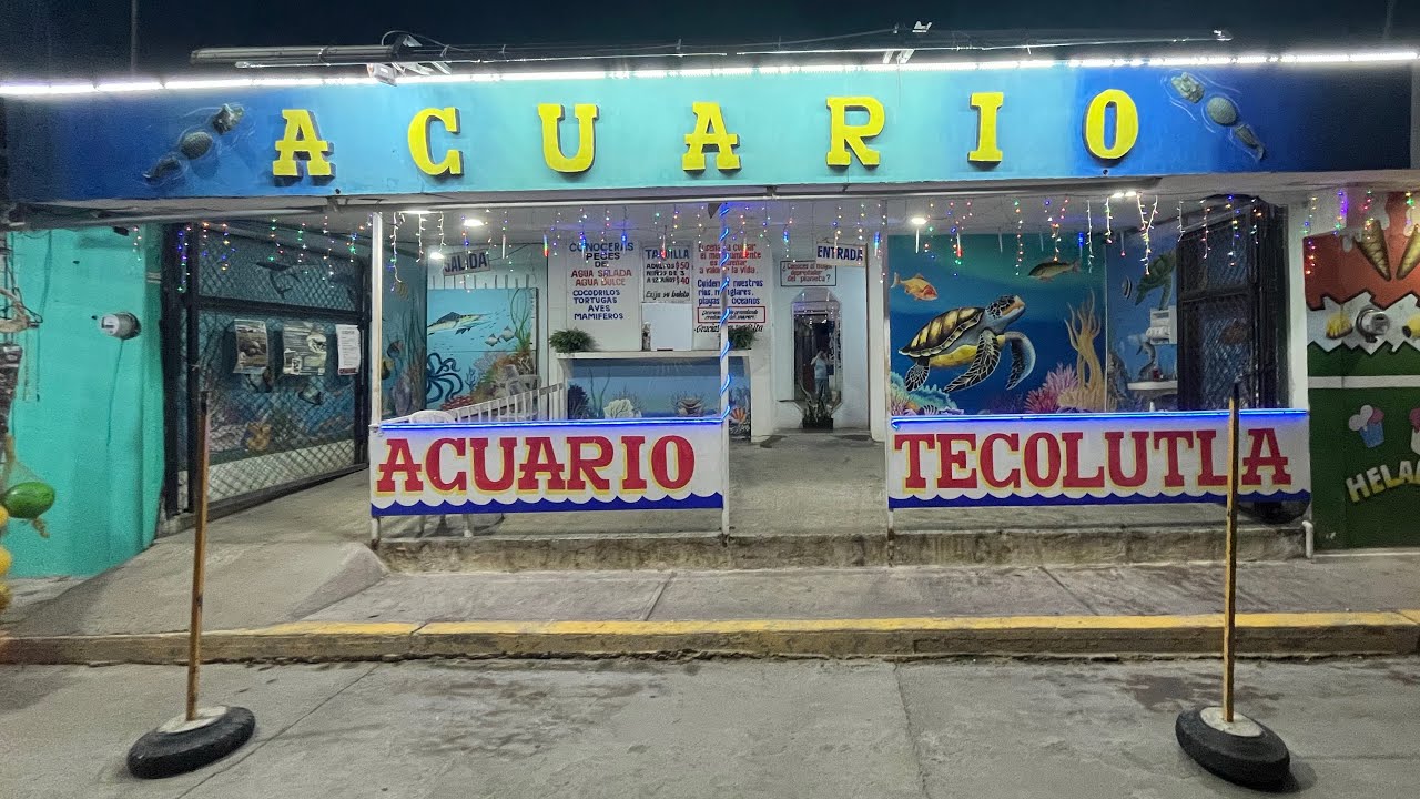 Acuario De Tecolutla Que Hacer Ver En Veracruz Youtube
