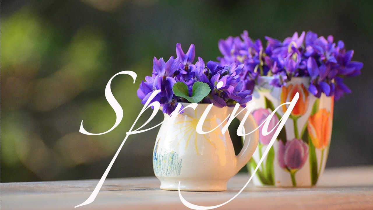 Spring Youtube