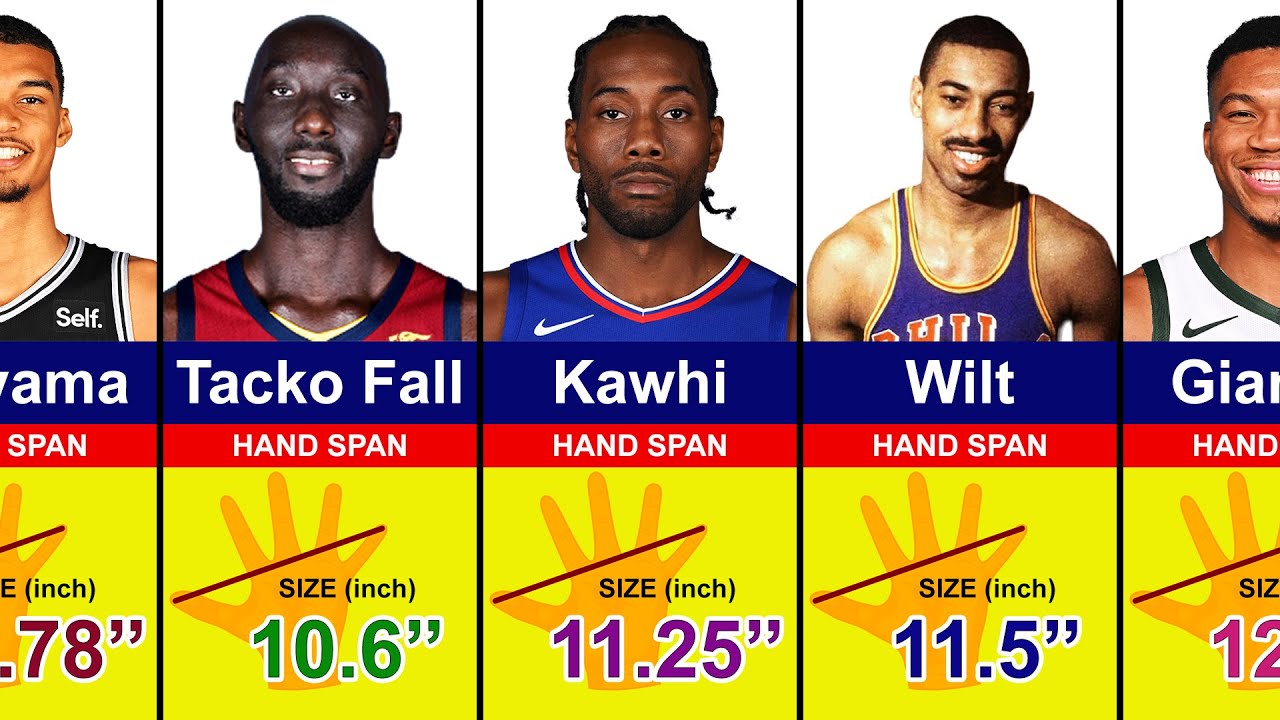 Biggest Hands In The Nba History Luke Kornet Wikipedia