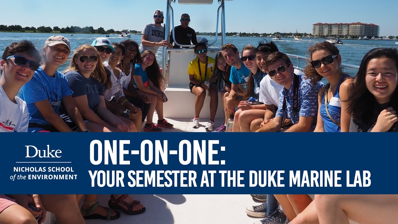 One On One Your Semester At The Duke Marine Lab Youtube