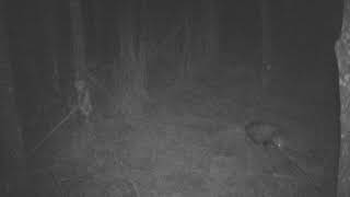 Pee'd on the grinner