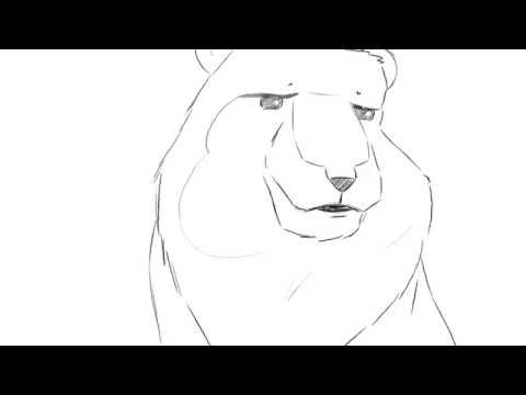Lipsync2 Youtube