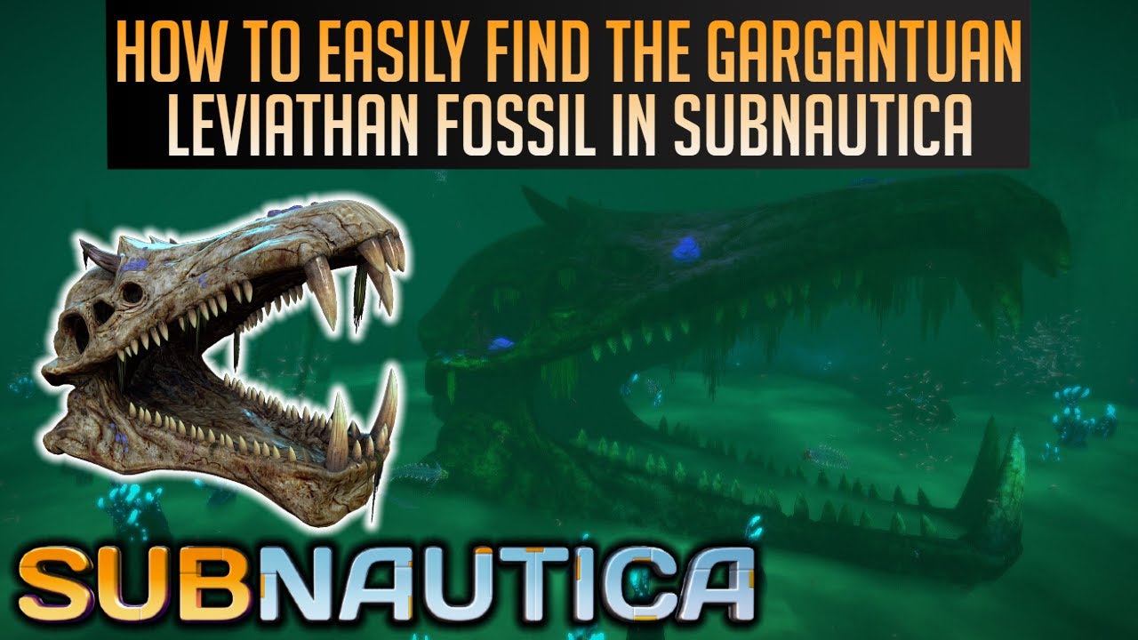 How To Find The Gargantuan Leviathan Fossil In Subnautica Youtube