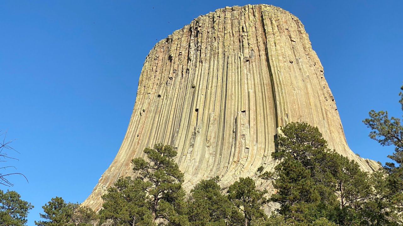 902 Now That Is A Tree Stump Devils Tower National Monument Youtube