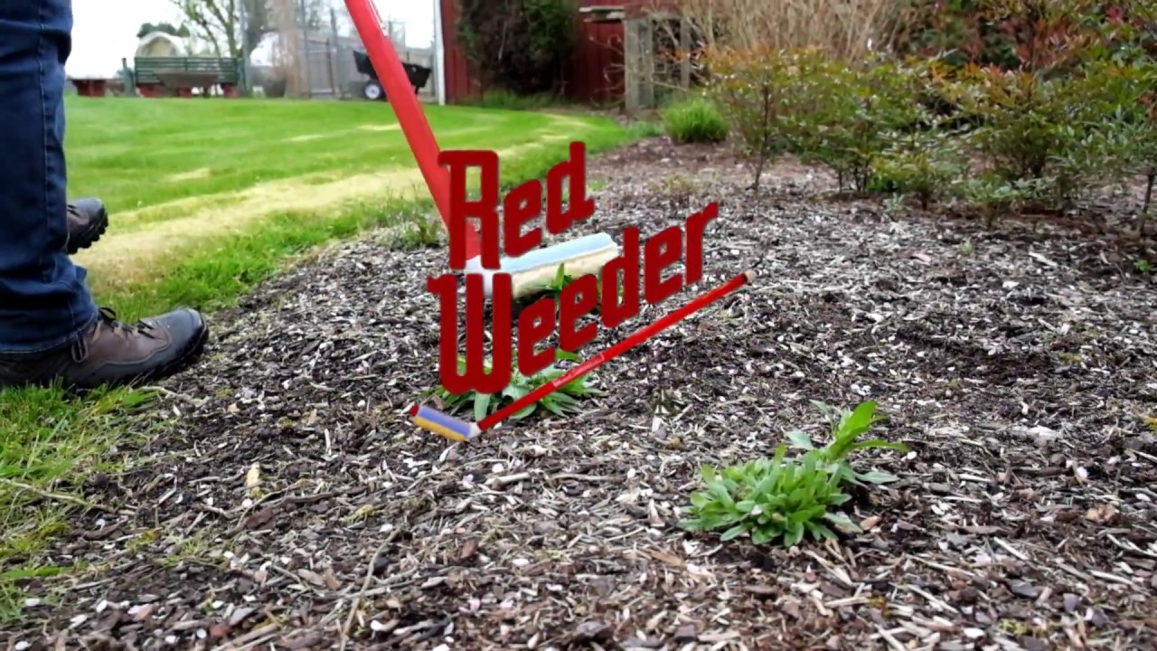 Red Weeder Drift Free Weed Control