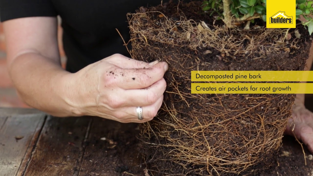 Why You Should Use Potting Soil Youtube