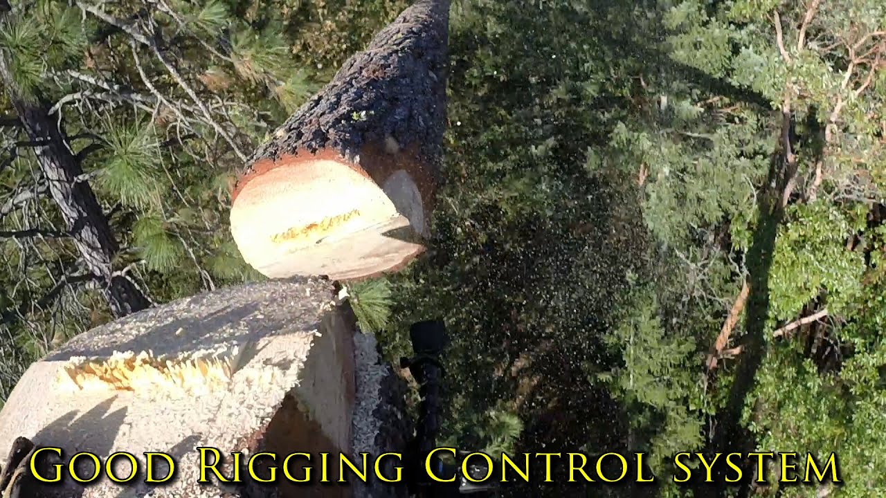Tree Rigging Youtube