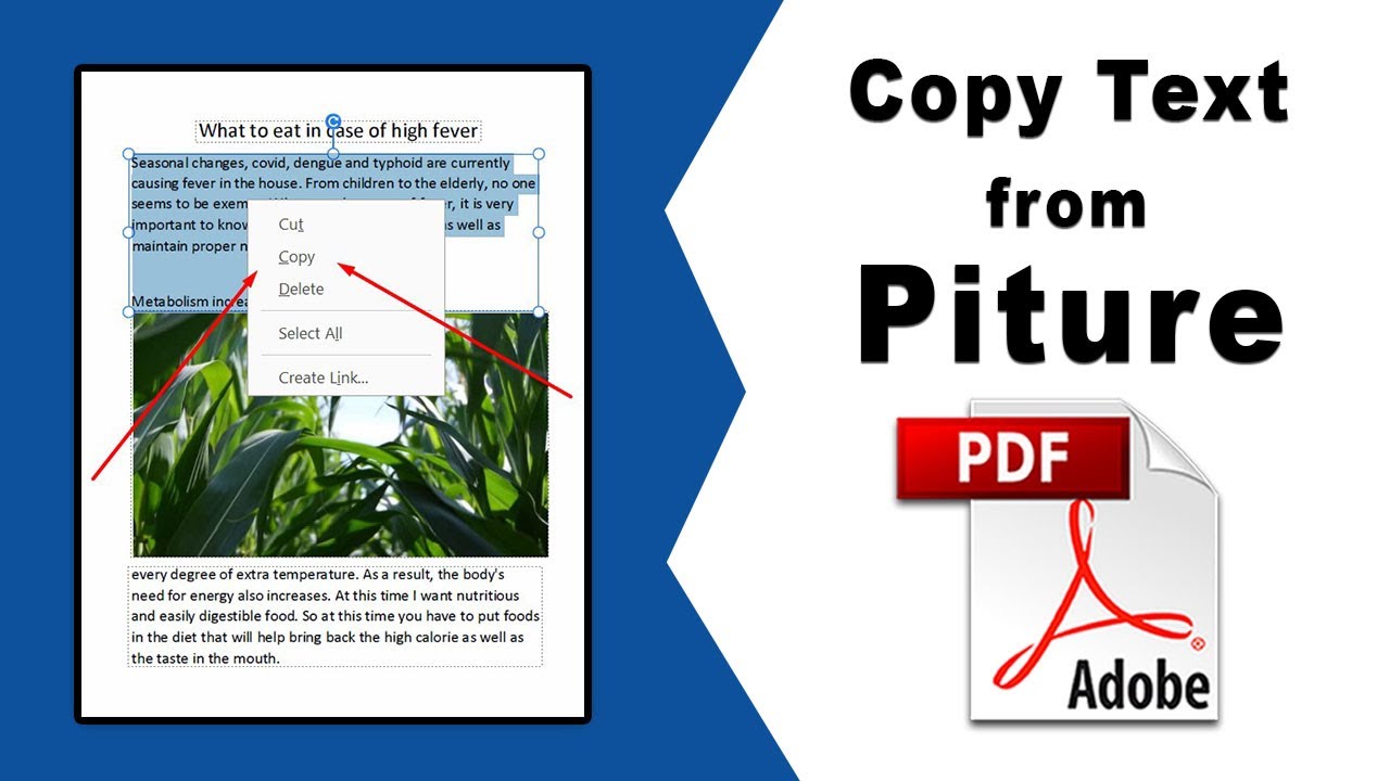 Image To Text Converter Adobe Infoupdate Org