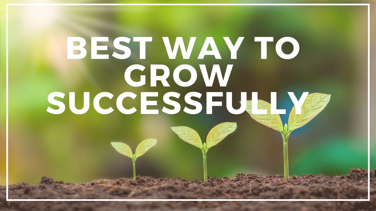 How To Grow Successfully On Your Spiritual Journey Faith Growth