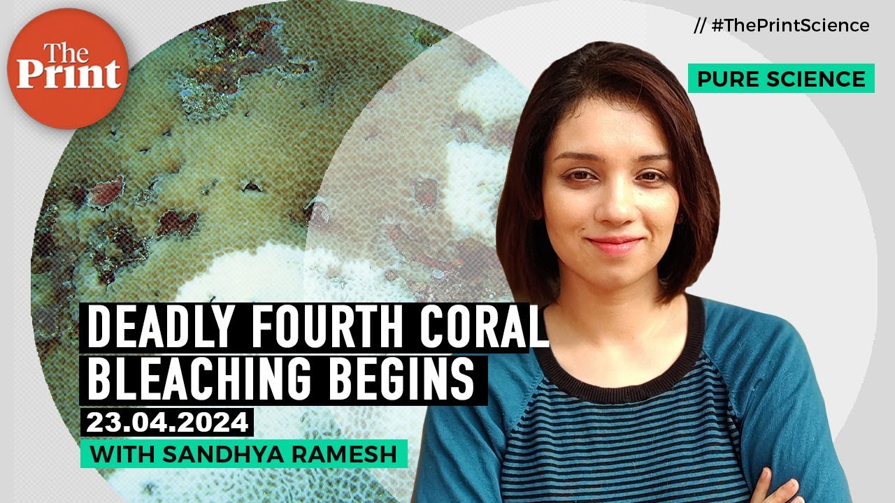 Fourth Global Mass Coral Bleaching Rings Marine Alarms Youtube