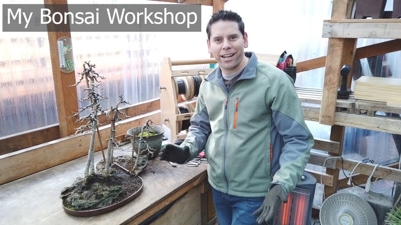 My Bonsai Workshop Youtube
