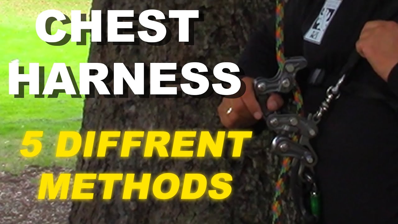 Tree Climbing Rigging Techniques At Cynthia Gibbens Blog