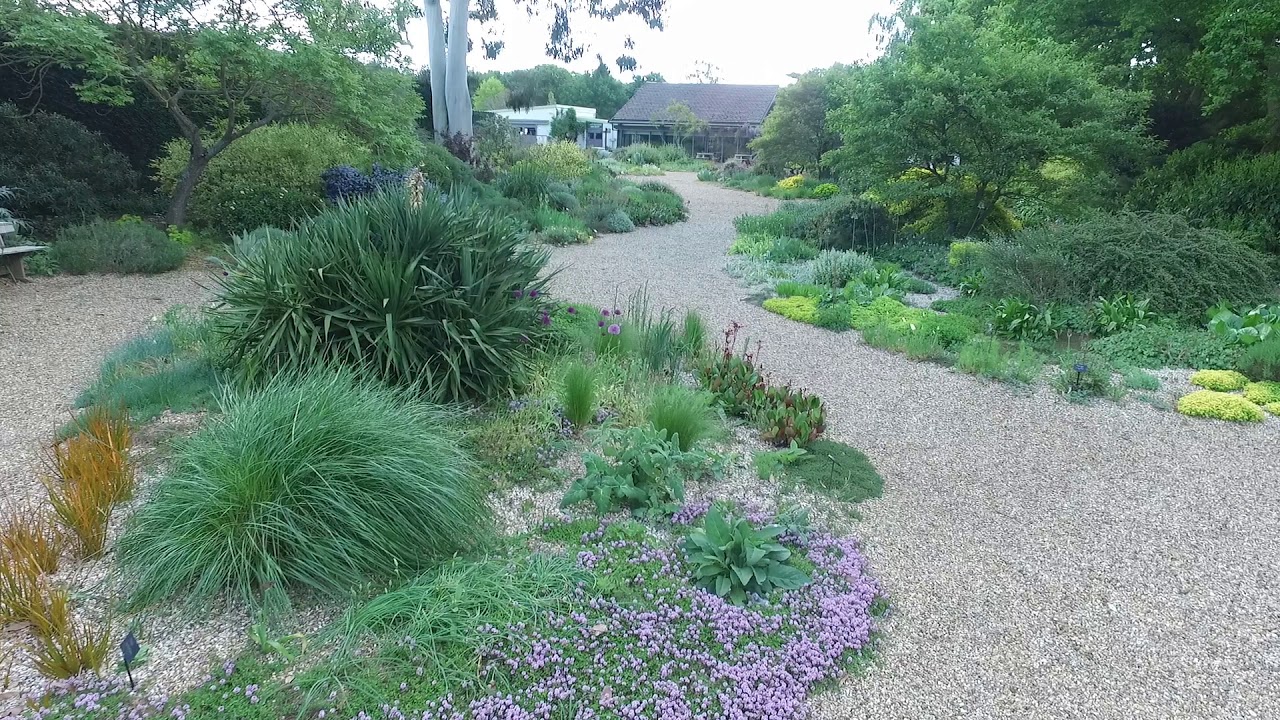 The Beth Chatto Gardens Gravel Garden Tour In May Youtube
