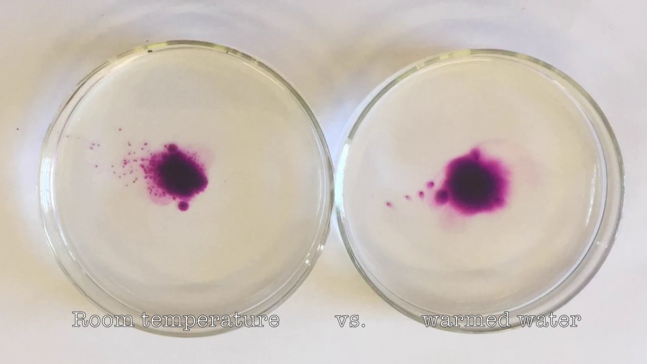 Diffusion Experiment Youtube