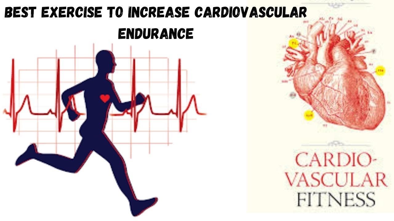 How To Improve Cardiovascular Endurance Exercises Cardio Workout Routine