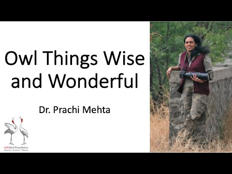 Delhibird Talks Owls Things Wise And Wonderful Dr Prachi Mehta