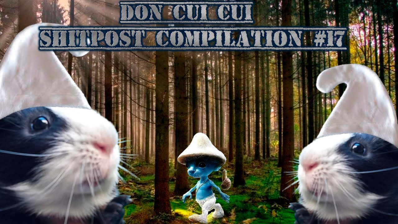 Shitpost Compilation 17 Youtube