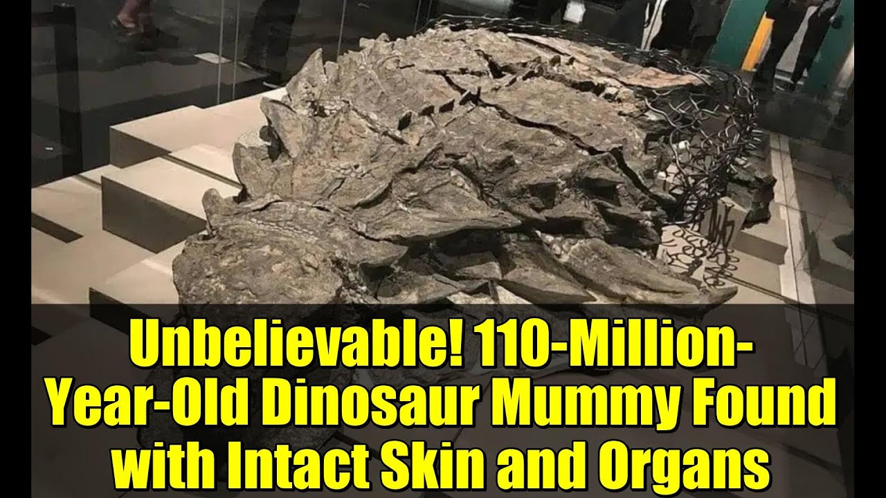 Unbelievable 110 Million Year Old Dinosaur Mummy Found With Intact