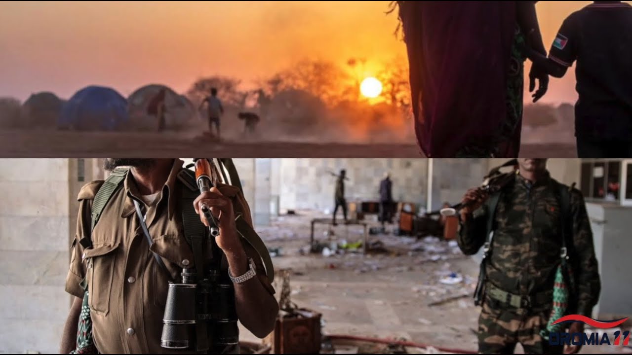 Oromia11 Oduu 10 4 2023 Youtube