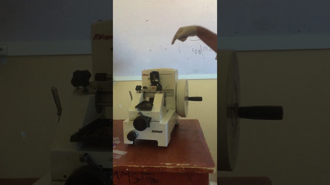 How To Use Microtome Youtube