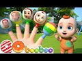 Baby Finger Where Are You Finger Family Song Gobooboo Kids Songs ...