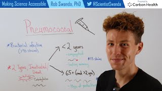 How The Pneumococcal Vaccines Prevnar 13 Ppsv23 Work Dr Rob Swanda Mp3 ...