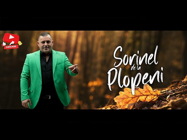 Sârbe și Hore Tradiționale 2024 - Muzică pentru Chef și Voie Bună!