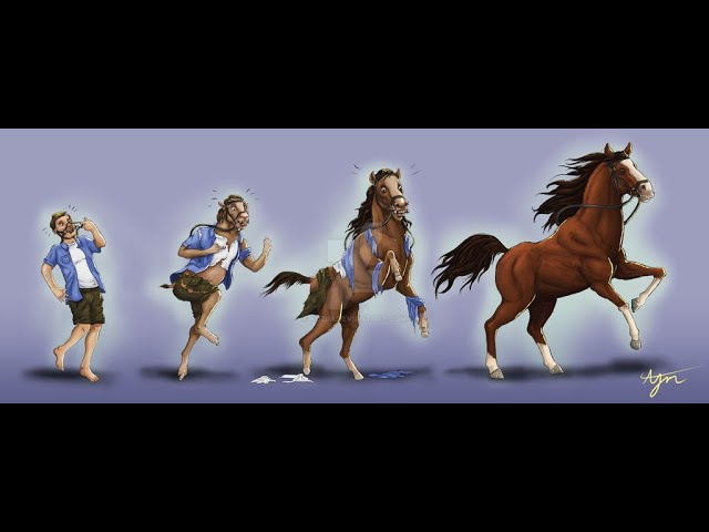 Horse Transformation Art