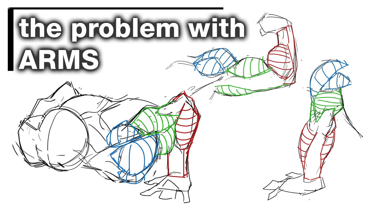 How To Draw An Arm Flexing At Jeniffer Rowe Blog