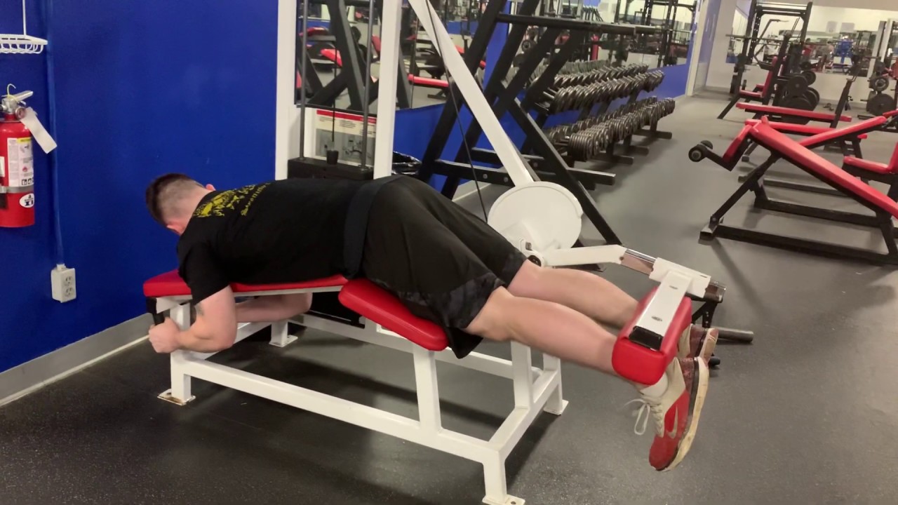 Lying Hamstring Curl Boolread