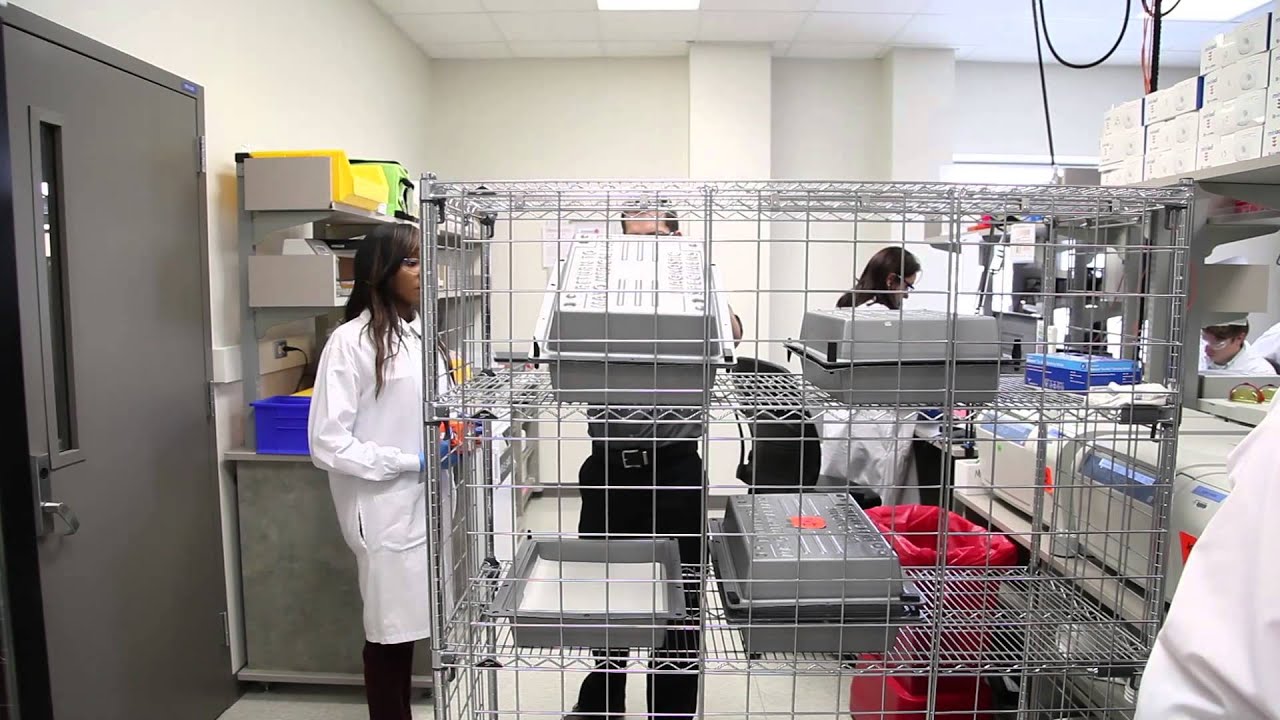 Inside The Mayo Clinic Biobank Youtube