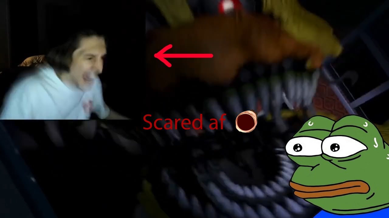 Every Time Xqc Got Jumpscared In Fnaf 4 Youtube