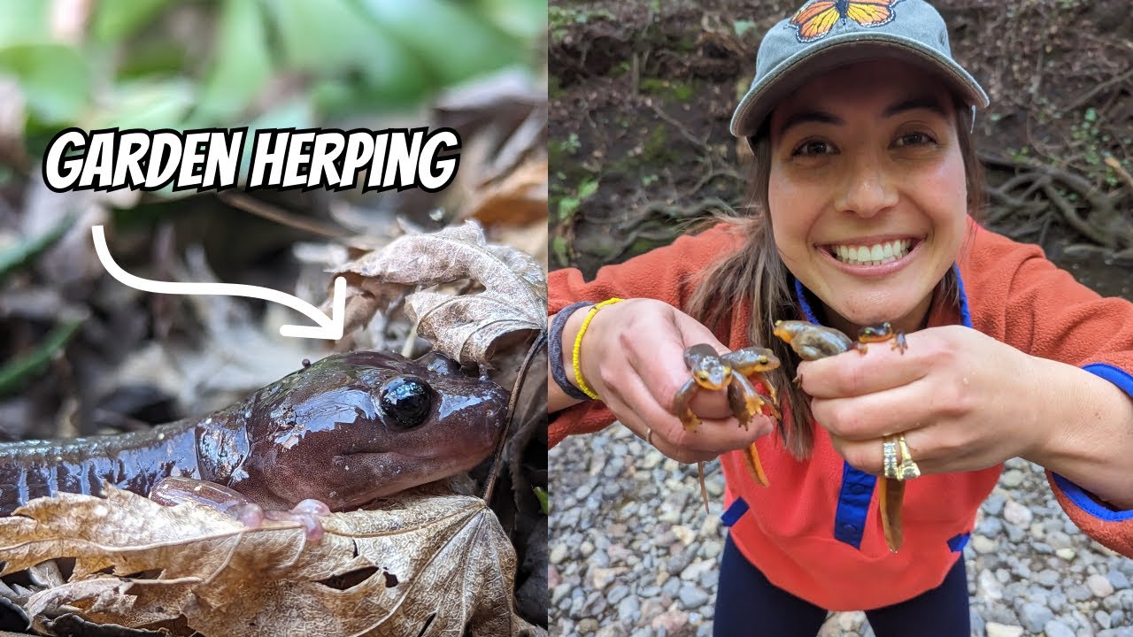Equipment Field Herping At Mallory Sauer Blog