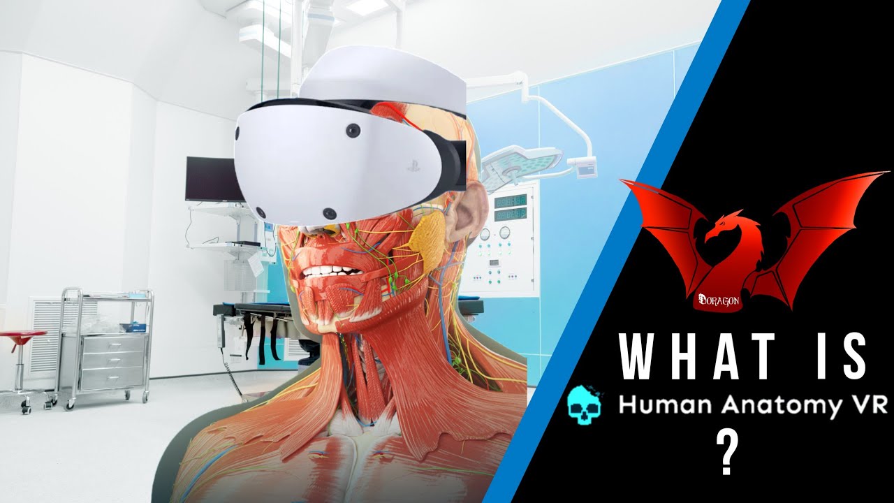 Human Anatomy Vr For Institutions On Meta Quest Quest Vr 59 Off