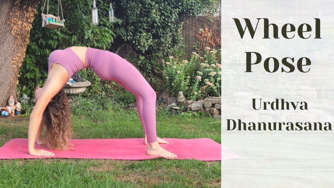 How To Do Wheel Pose Urdhva Dhanurasana Alignment Laurens Bliss