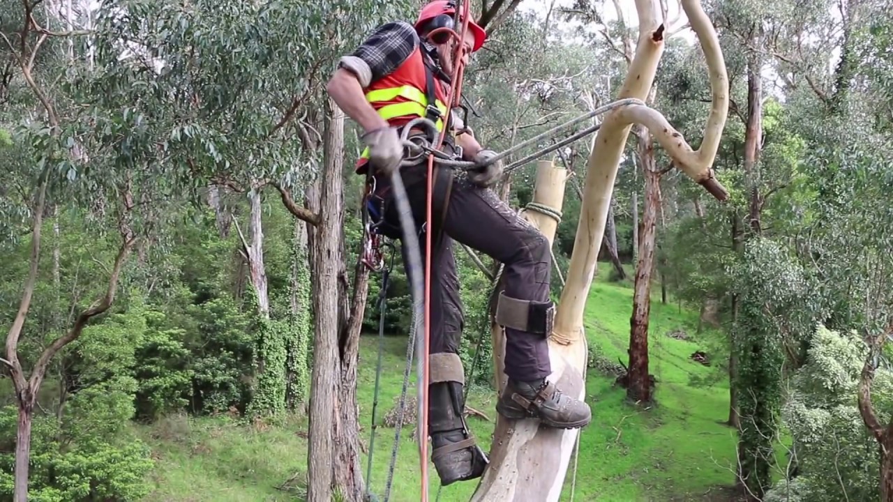 Natural Crotch Rigging Part 2 Youtube